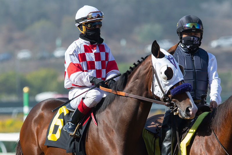 Apprentices Pyfer, Centeno - So Much Alike, Yet So Very Different