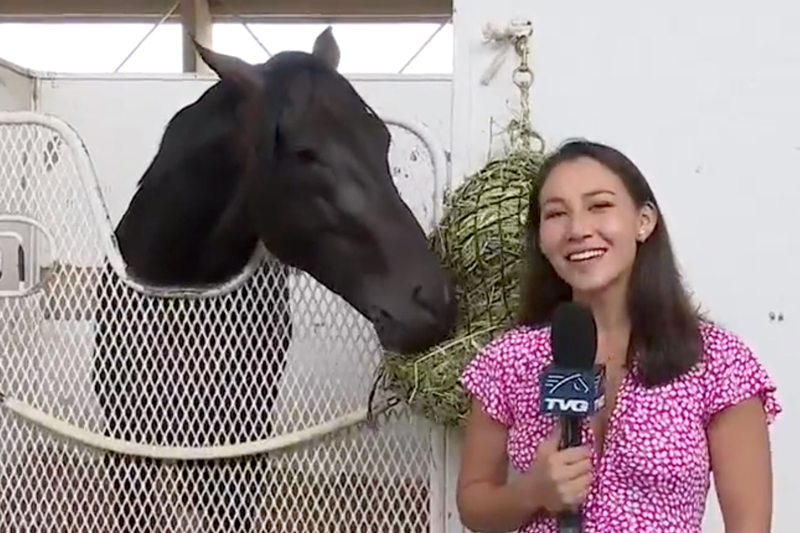 Stable Notes August 12, 2022