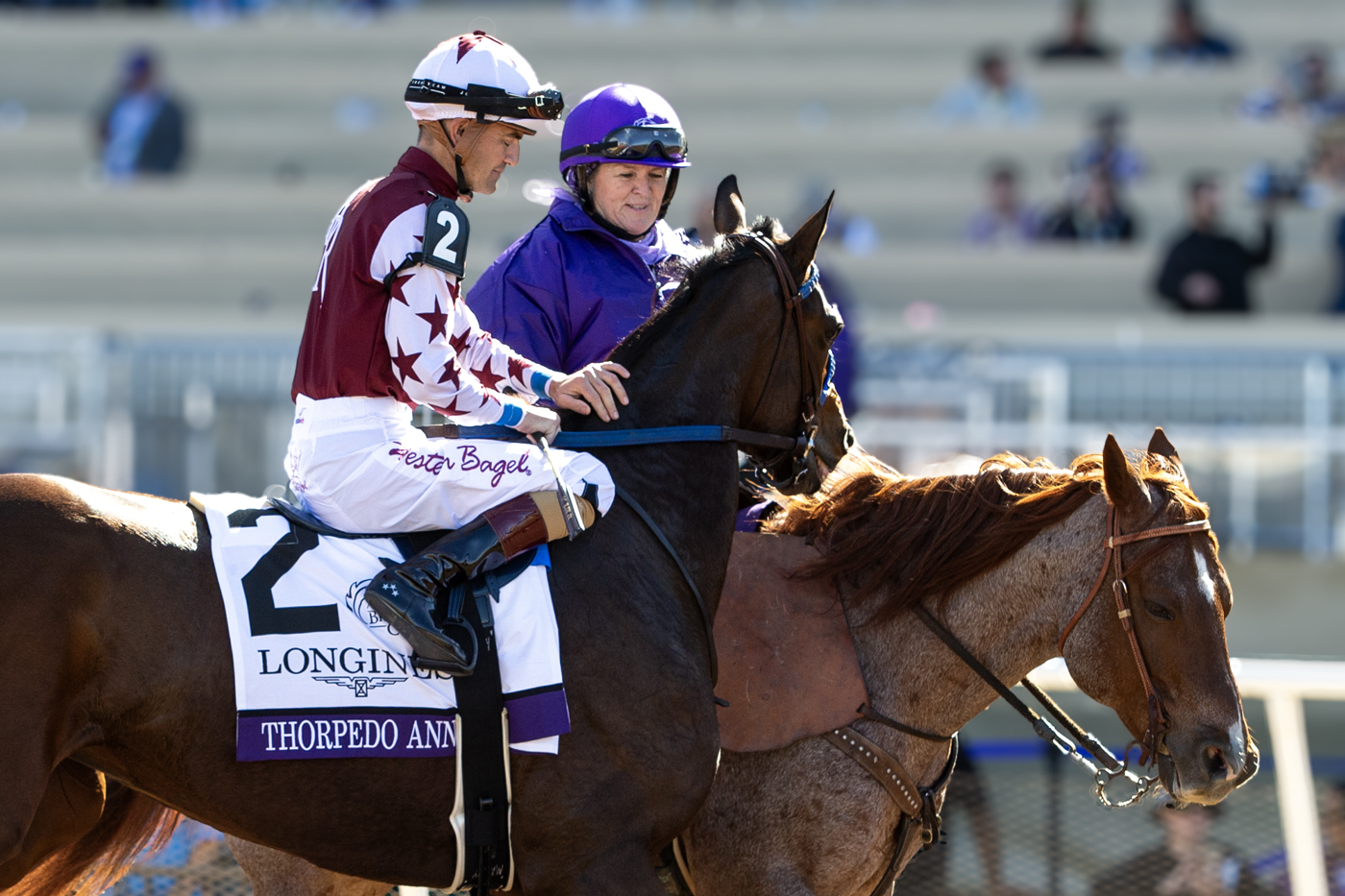 Finding a Piece of Heaven on the Back of a Horse: The Story of a Career ...