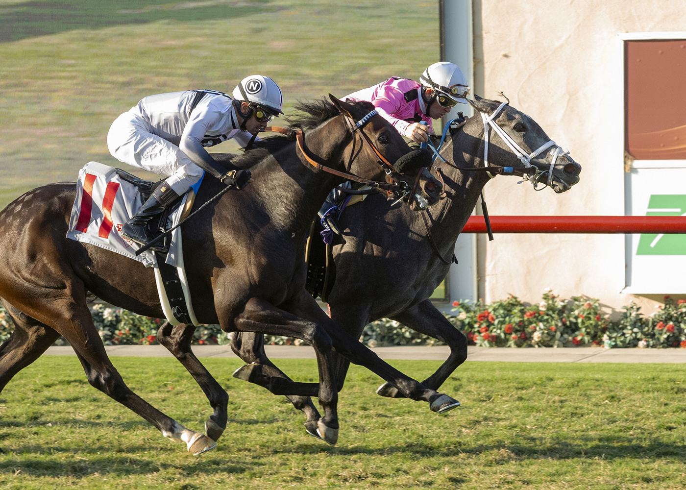 Del Mar Juvenile Fillies Turf Quotes