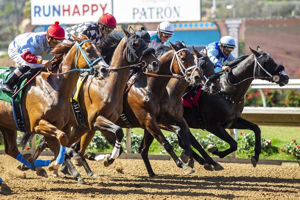 Del Mar Thoroughbred Club