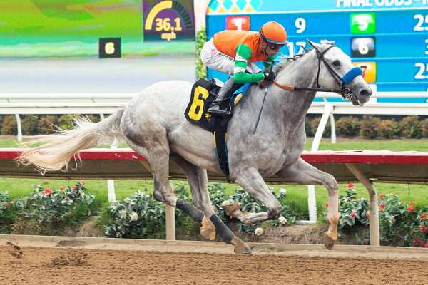 Del Mar Thoroughbred Club