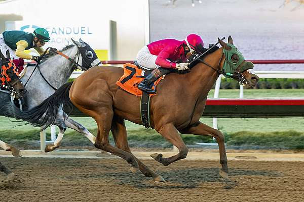 Del Mar Thoroughbred Club